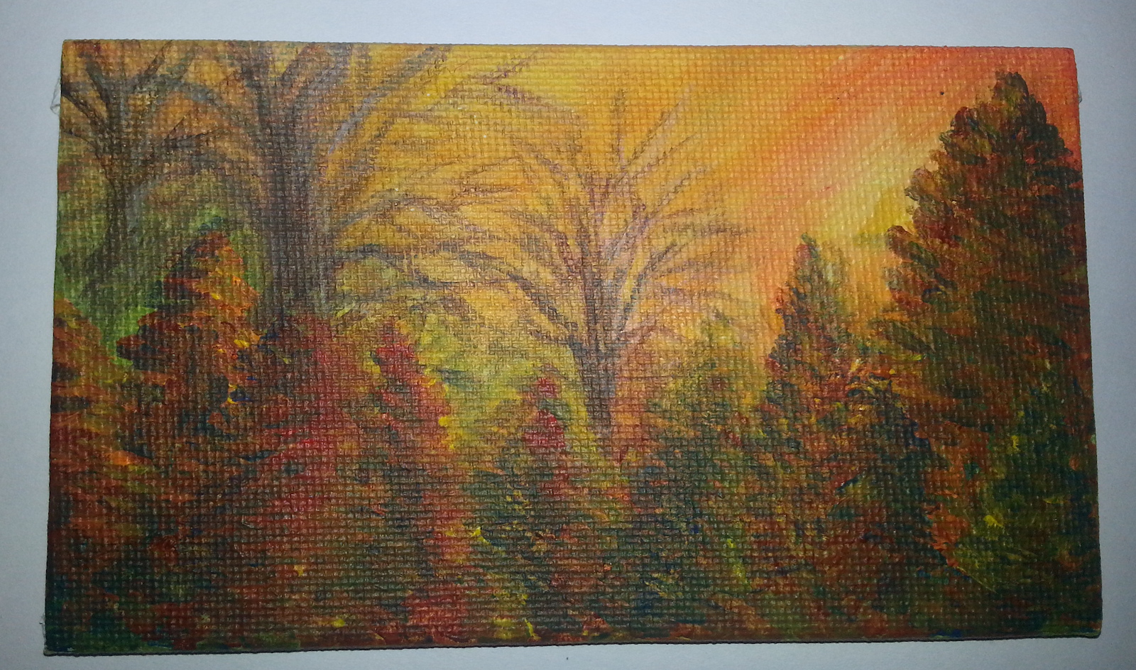 Drawing & Painting | Stonecrop Studio